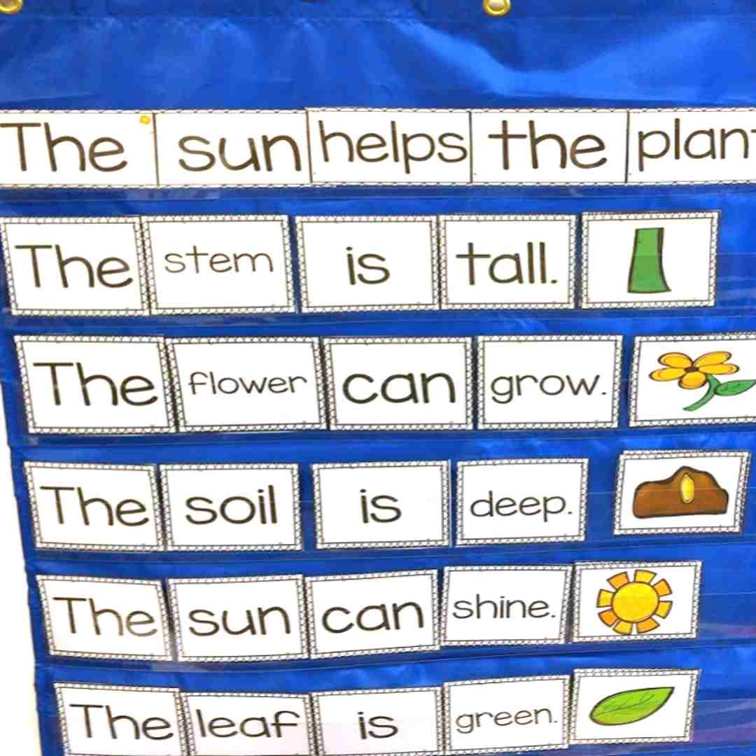 Teaching Sentences & Sentence Structure in Kindergarten