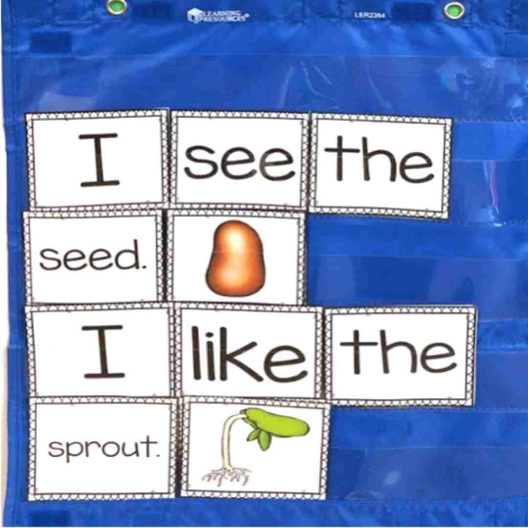 Teaching Sentences & Sentence Structure in Kindergarten