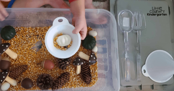 Sensory Bin Ideas for 2 Year Olds: Easy DIY Activities Your Toddlers ...