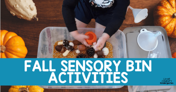 Simple Fall Sensory Bin Activities for Toddlers - Little Country ...